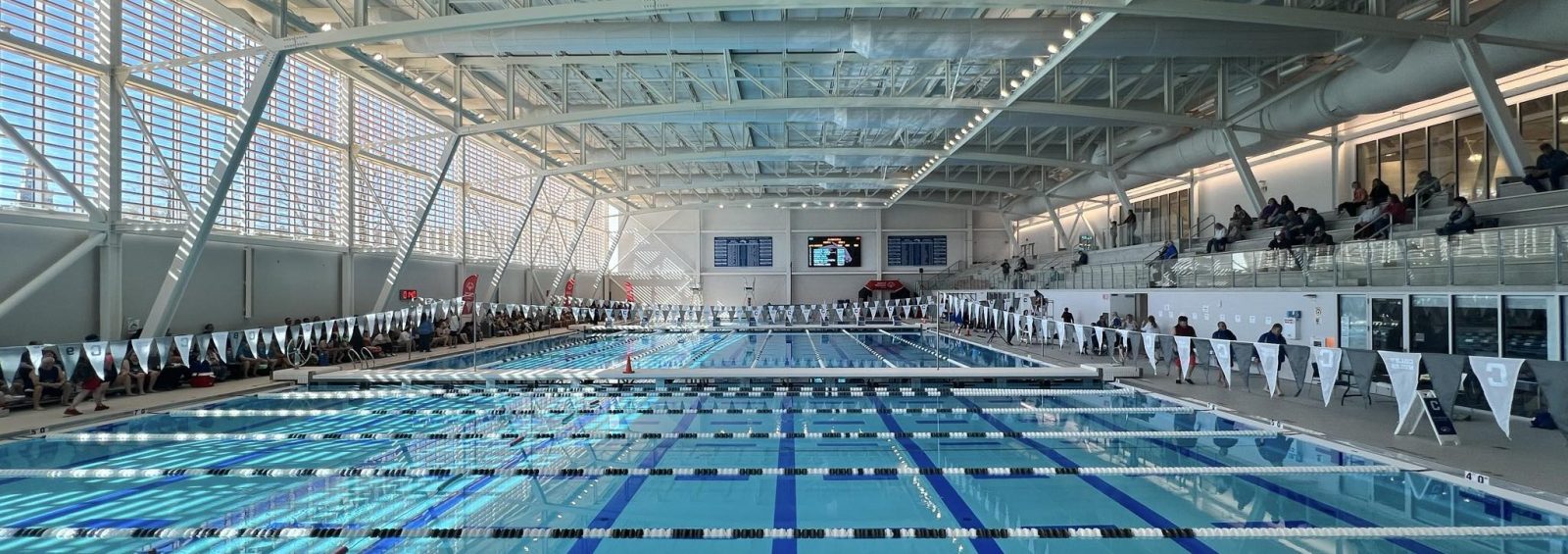2024 State Swim Special Olympics - Downeast Horizons